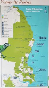 Self-Guided Rainforest Walks and Lookouts in the Daintree Rainforest ...