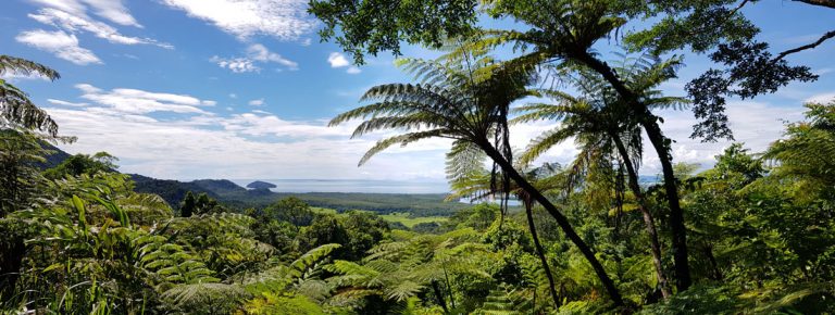 The seasons of the Daintree Rainforest - Heritage Lodge